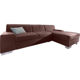 Ecksofa DOMO collection "Star, zeitlose Formensprache, elegante Optik, Breite 248cm, L-Form", braun (mokka), B:248cm H:74cm T:150cm, Softlux-Kunstleder;Primabelle-Microfaser;Struktur (90% Polyester und 10% Polyacryl), Sofas, Ecksofa, wahlweise mit Bettfunktion