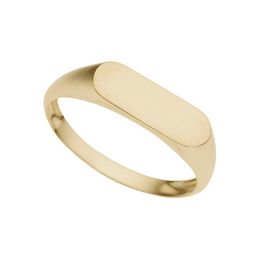 Goldring Firetti "Schmuck Geschenk Gold 333 Siegel-Optik" Gr. 16, gold (gelbgoldfarben), Fingerringe, Damen, 16, Gelbgold 333, 2mm