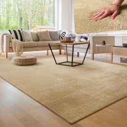Teppich Paco Home "Cadiz 630", beige, B:200cm H:14mm L:280cm, Polyester, Teppiche, Teppich, Uni-Farben, besonders weich, waschbar, auch als L&auml;ufer erh&auml;ltlich