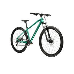 Mountainbike KROSS "KROSS Mountainbike Hardtail 29" Hexagon 3.0 blau 16 Gänge" Gr. 43, blau, schwarz, Fahrräder, Damen, 43cm, 29 Zoll (73,66cm) hinten: 29 Zoll (73,66cm)