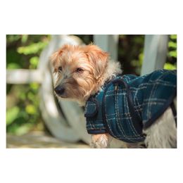 ESKADRON Heritage Hundemantel Boucl&eacute; blau 65 cm