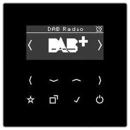 JungSmart Radio DAB+ (schwarz)
