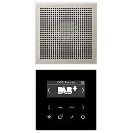 JungSmart Radio DAB+, Set Mono (Display schwarz, Lautsprecher Edelstahl)