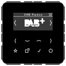 JungSmart Radio DAB+ (schwarz)