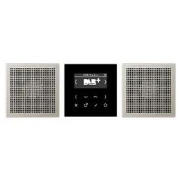 JungSmart Radio DAB+, Set Stereo (Display schwarz, Lautsprecher Edelstahl)