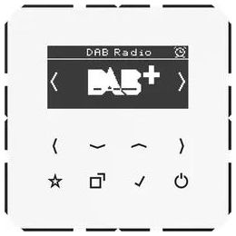 JungSmart Radio DAB+ (alpinwei&szlig;)