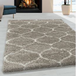 Hochflor-Teppich Ayyildiz Teppiche "SALSA 3201", beige, B:280cm H:50mm L:370cm, Polypropylen (PP), Teppiche, auch in rund, Pflegeleicht / Strapazierf&auml;hig / Shaggy/ Wohnzimmer