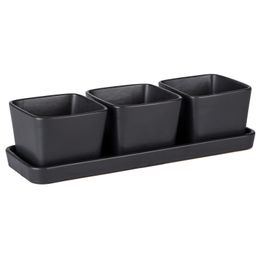 Wenko Snack-/Dipschalen-Set, 4-teilig