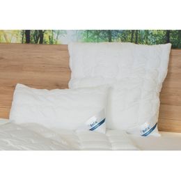 Beco Kopfkissen »Medibett Cotton Soft«, perfekte Klimatisierung, gesteppt