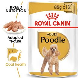 Royal Canin Poodle Adult in So&szlig;e Hundefutter nass f&uuml;r Pudel 12x85g