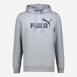 Puma Hellgrauer Kapuzenpullover mit gro&szlig;em Logo