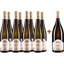 Weingut Z&ouml;hrer Festtagspaket mit Magnum Gr&uuml;ner Veltliner 2024 Trocken - Nieder&ouml;sterreich &ndash; Probierpaket Qualit&auml;tswein