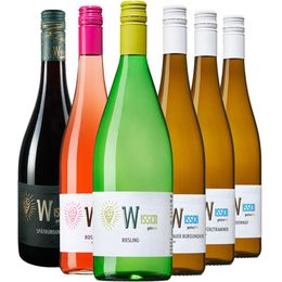 Weingut Wisser Kennenlern-Paket Trocken - Pfalz &ndash; Probierpaket Qualit&auml;tswein