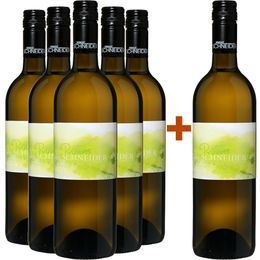Weingut Schneider 5+1 Jungwein PRIMUS Gemischter Satz 2025 Trocken - &ndash; Probierpaket Qualit&auml;tswein