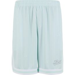Shorts Karl Kani "Karl Kani Small Varsity Logo Pinstripe Mesh Shorts", Herren, Gr. L, US-Gr&ouml;&szlig;en, turquoise, 100% Polyester, loose fit, Hosen Shorts