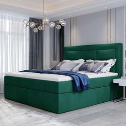 Pharao24.de Doppelbett Boxbett mit Bezug aus Samt