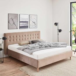 Pharao24.de Polster Bett 140x200 cm in Taupe Samt Vierfu&szlig;gestell aus Holz