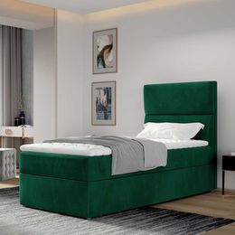 Pharao24.de Funktionsbett Boxbett mit Bezug aus Samt