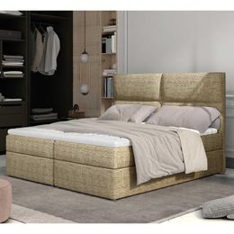 Pharao24.de Polsterbett Boxbett in Beige aus Webstoff