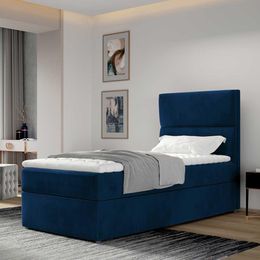 Pharao24.de Einzelbett Boxbett in Dunkelblau Liegefl&auml;che 90x200 cm