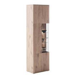 Pharao24.de Vitrine seitlich mit Glas in Wildeichefarben 200 cm hoch