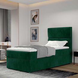 Pharao24.de Einzelbett Boxbett in Dunkelgr&uuml;n Liegefl&auml;che 90x200 cm