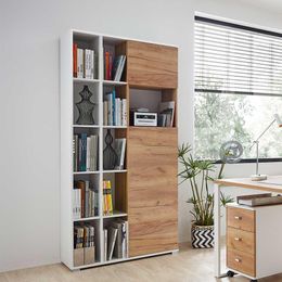 Pharao24.de B&uuml;roschrank in Wei&szlig; und Wildeiche Dekor Made in Germany