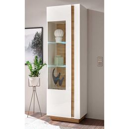 Pharao24.de Schrank Vitrine in Weiß und Wildeiche Optik 60 cm breit