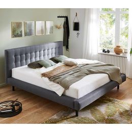 Pharao24.de Niedriges Bett Polster Hellgrau in modernem Design 102 cm Kopfteil