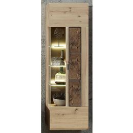 Pharao24.de Wandvitrine in Wildeiche Hirnholz Optik modern