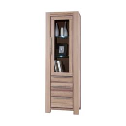Pharao24.de Vitrine aus Wildeiche Massivholz Schubladen