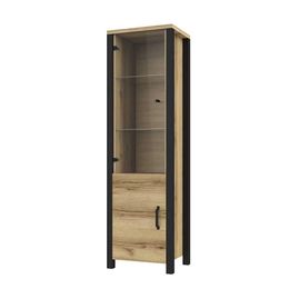 Pharao24.de Wohnzimmer Vitrinenschrank im Industry und Loft Stil 191 cm hoch