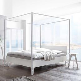 Pharao24.de Himmel Bett Buche und Metall im Skandi Design 200 cm hoch