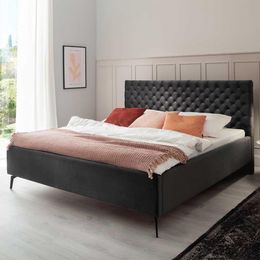Pharao24.de Polster Doppelbett Dunkelgrau aus Samt und Metall modernem Design