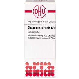 DHU-Arzneimittel Cistus Canadensis C 30 Globuli 10 g