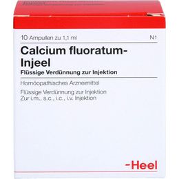 Heel Calcium Fluoratum Injeel Ampullen 10 St