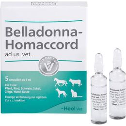 Heel Belladonna Homaccord ad us.vet.Ampullen 5 St