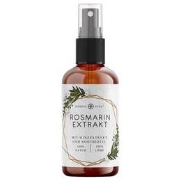 Rosmarin-Minze-Extrakt Haarkur &Ouml;lfrei Nordic Pure 100 ML