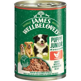 James Wellbeloved Junior Huhn Pastete 6x400 g
