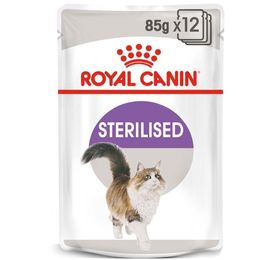 Royal Canin STERILISED Mousse Katzen-Nassfutter sterilisiert 12x85g