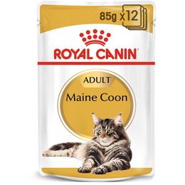 48x85g Royal Canin Maine Coon Adult Katzenfutter nass