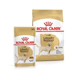 Royal Canin Labrador Retriever Adult Hunde-Trockenfutter 3kg