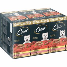 CESAR Klassik-Terrine 4 Variet&auml;ten Schale Hunde-Nassfutter ohne Zuckerzusatz 24x150g