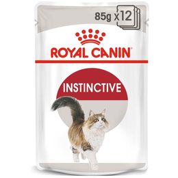 48x85g Royal Canin INSTINCTIVE Katzenfutter nass in Gelee