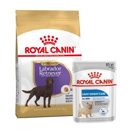 Royal Canin Labrador Retriever Sterilised Hunde-Trockenfutter LIGHT WEIGHT CARE Mousse 12kg