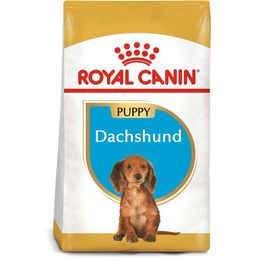 Royal Canin Dachshund Puppy Welpenfutter trocken für Dackel 1,5kg