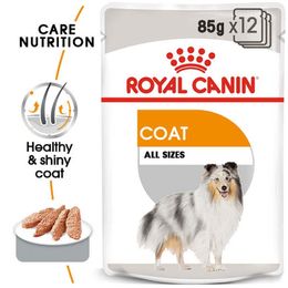 Royal Canin COAT CARE Nassfutter f&uuml;r gl&auml;nzendes Fell 12x85g
