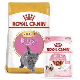 Royal Canin KITTEN British Shorthair 2kg + Kitten in Soße 12x85g