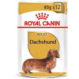 Royal Canin Dachshund Adult Hundefutter nass f&uuml;r Dackel 12x85g