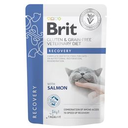 Brit Vet Diet Cat Fillets in Gravy Recovery Katzen-Nassfutter getreidefrei 12x85 g